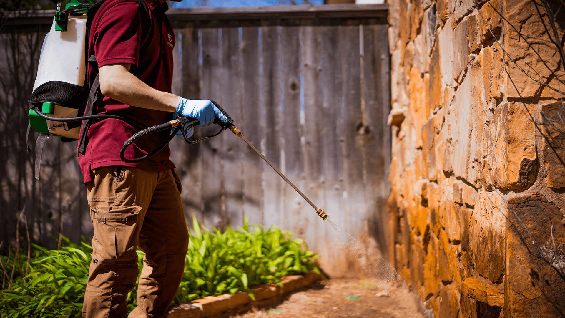 Champion Pest & Lawn - Pest Control & Lawn Care In Oklahoma City OK